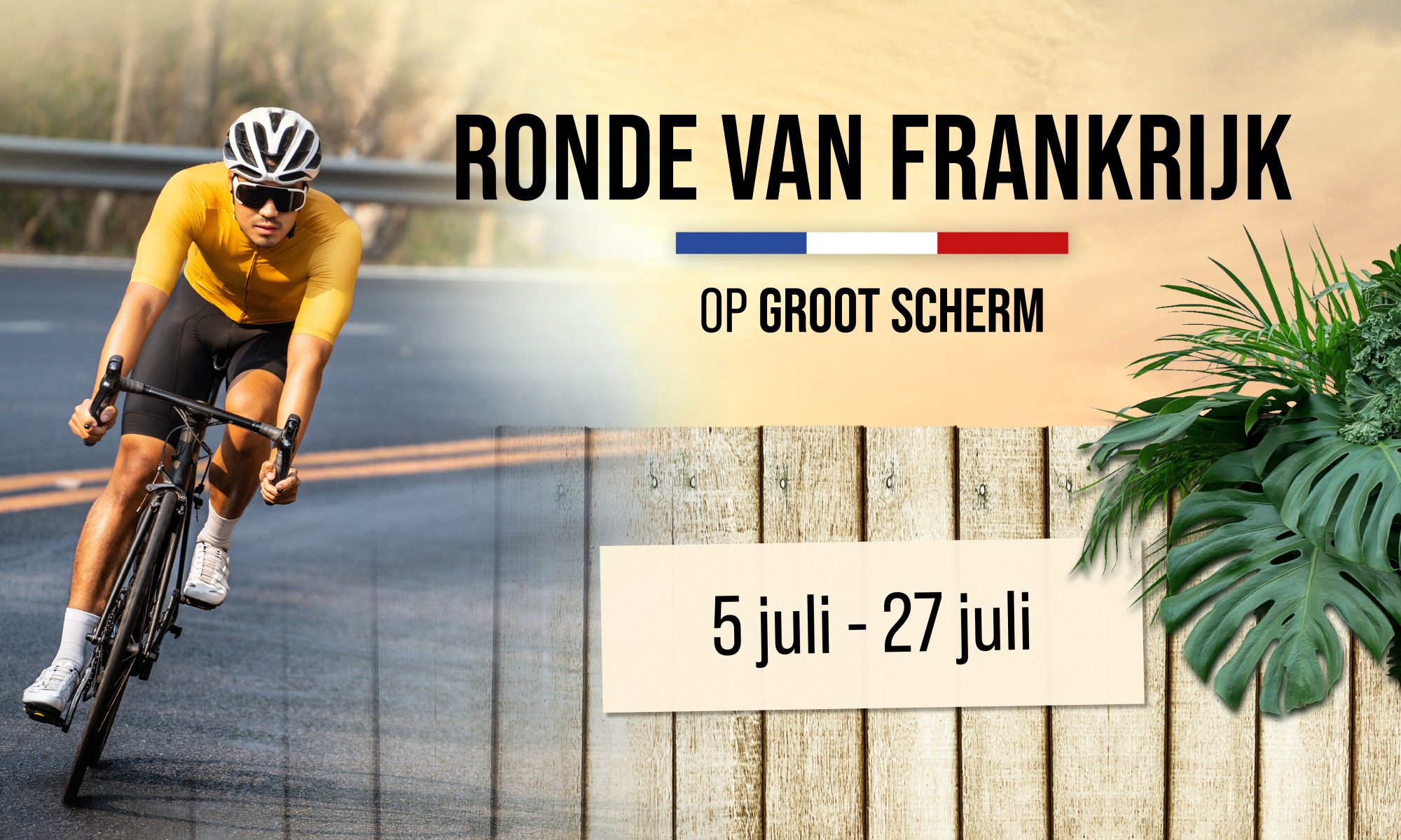 Evenementen | Verano